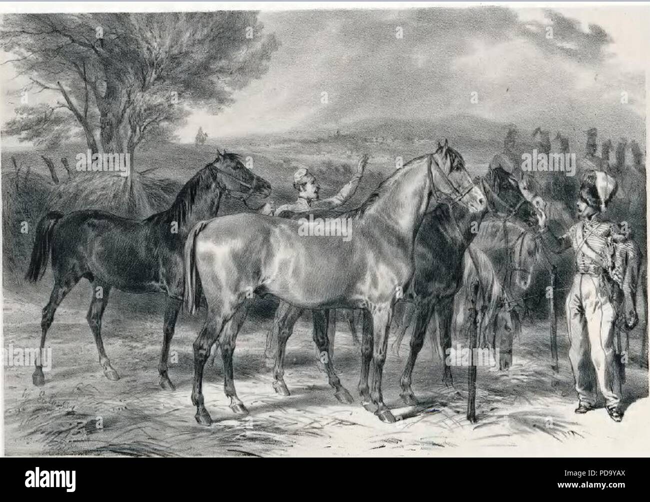 Angevin hi-res stock photography and images - Alamy