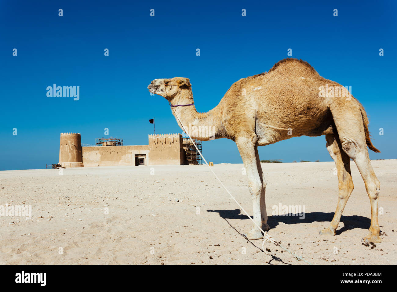 Zubara fort hi-res stock photography and images - Alamy