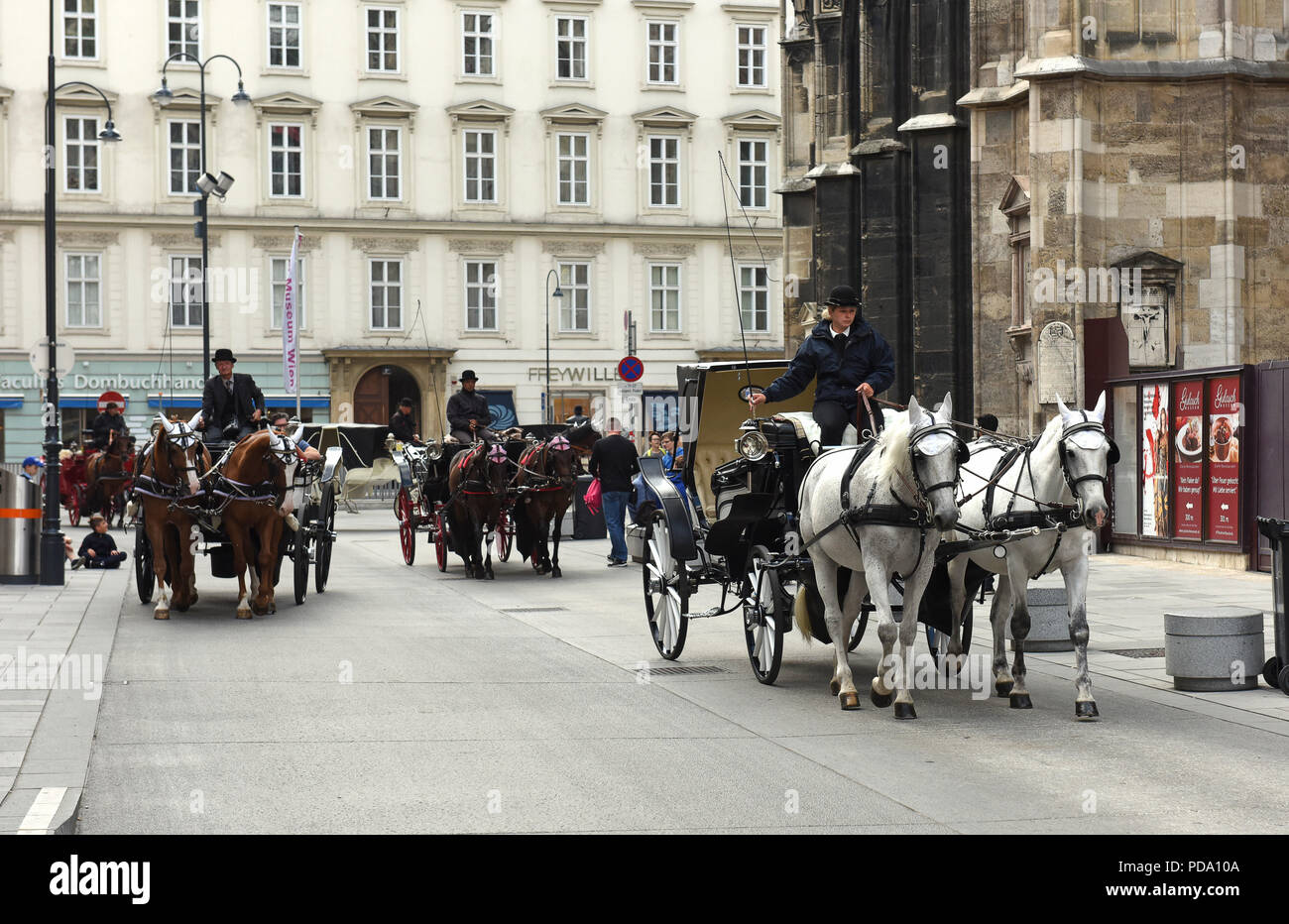 Horses and coaches coach rides in Vienna, Austria Stock Photo - Alamy