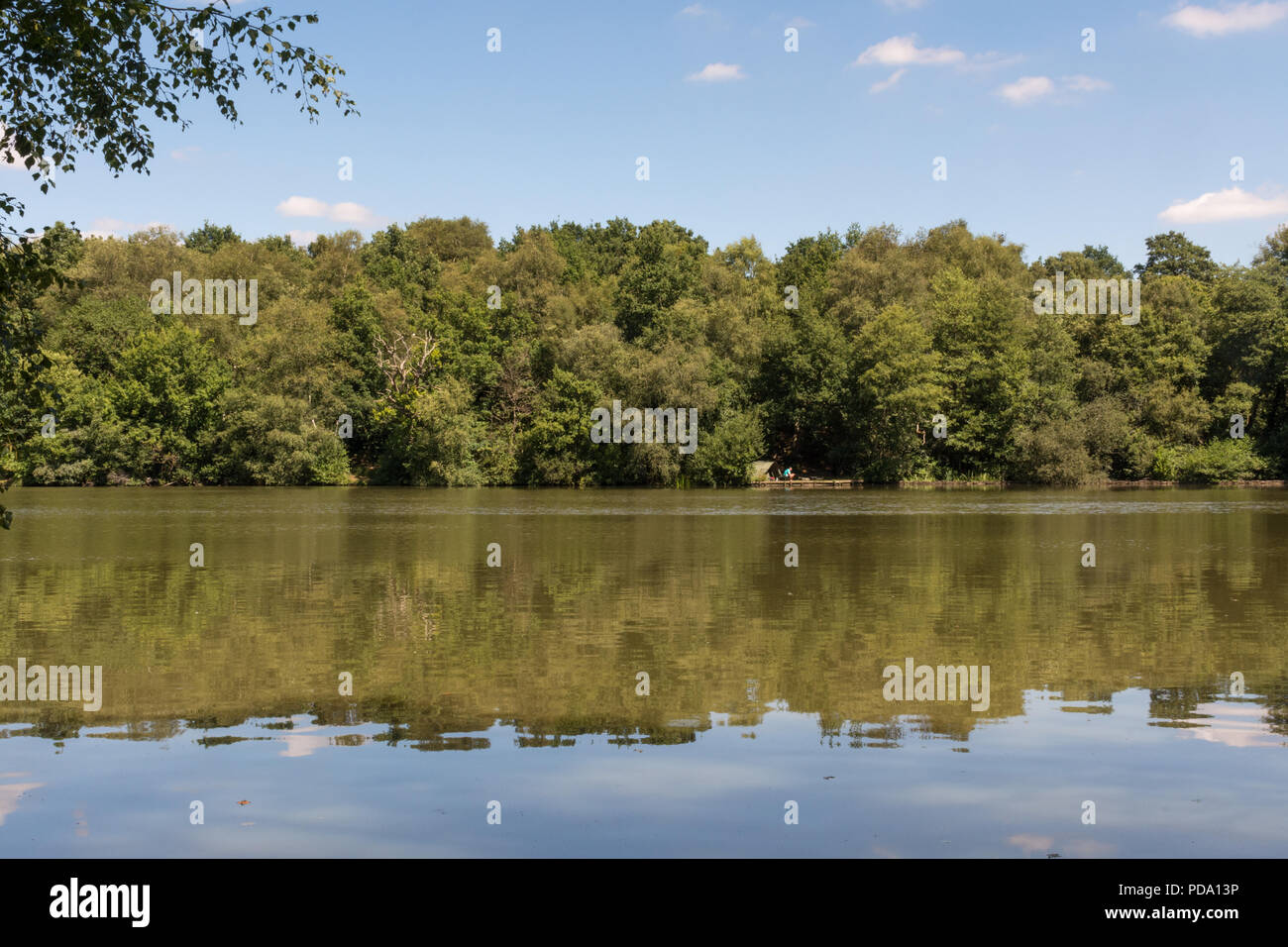Puttenham common, surrey hi-res stock photography and images - Alamy