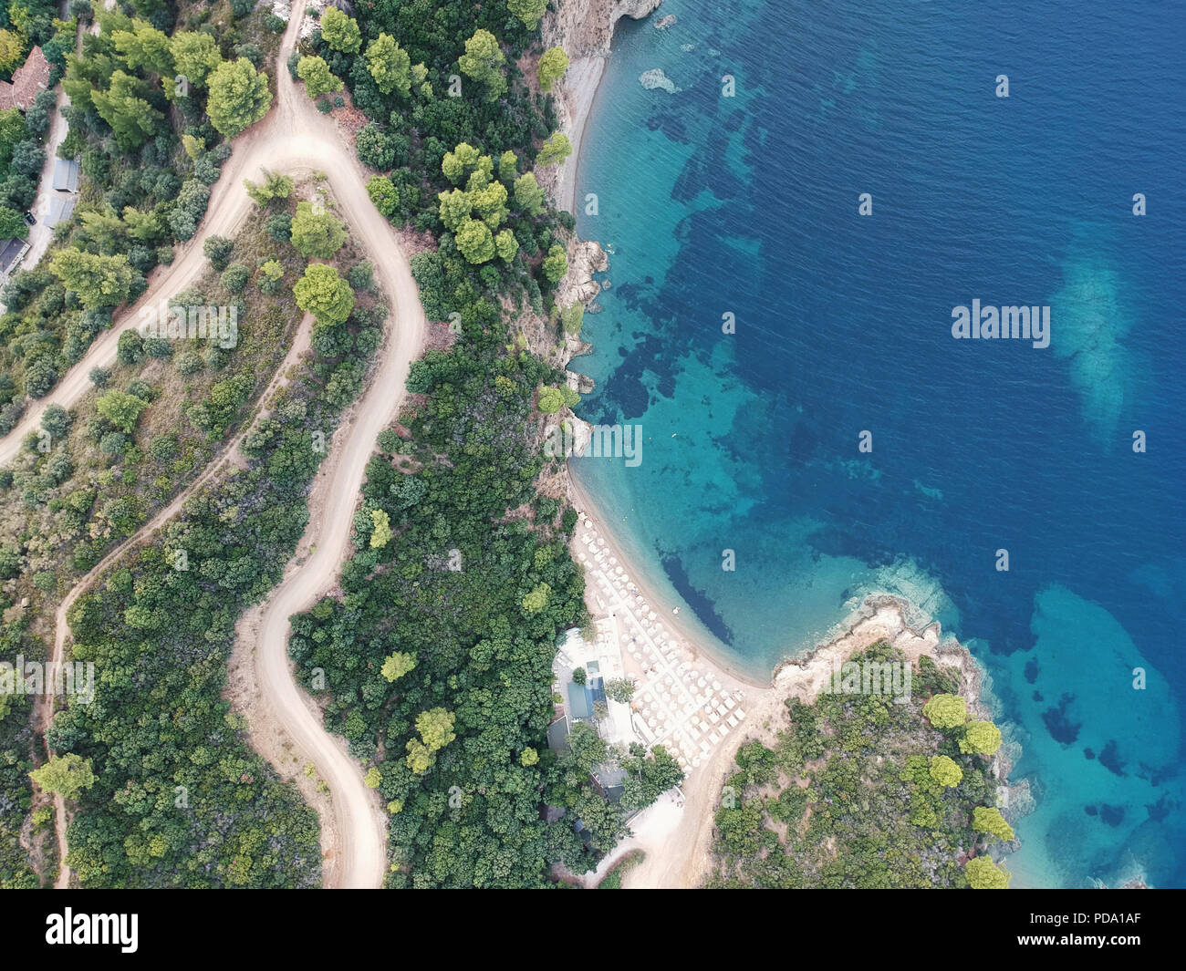 Aerial view of a beach with pines and bright water Stock Photo - Alamy