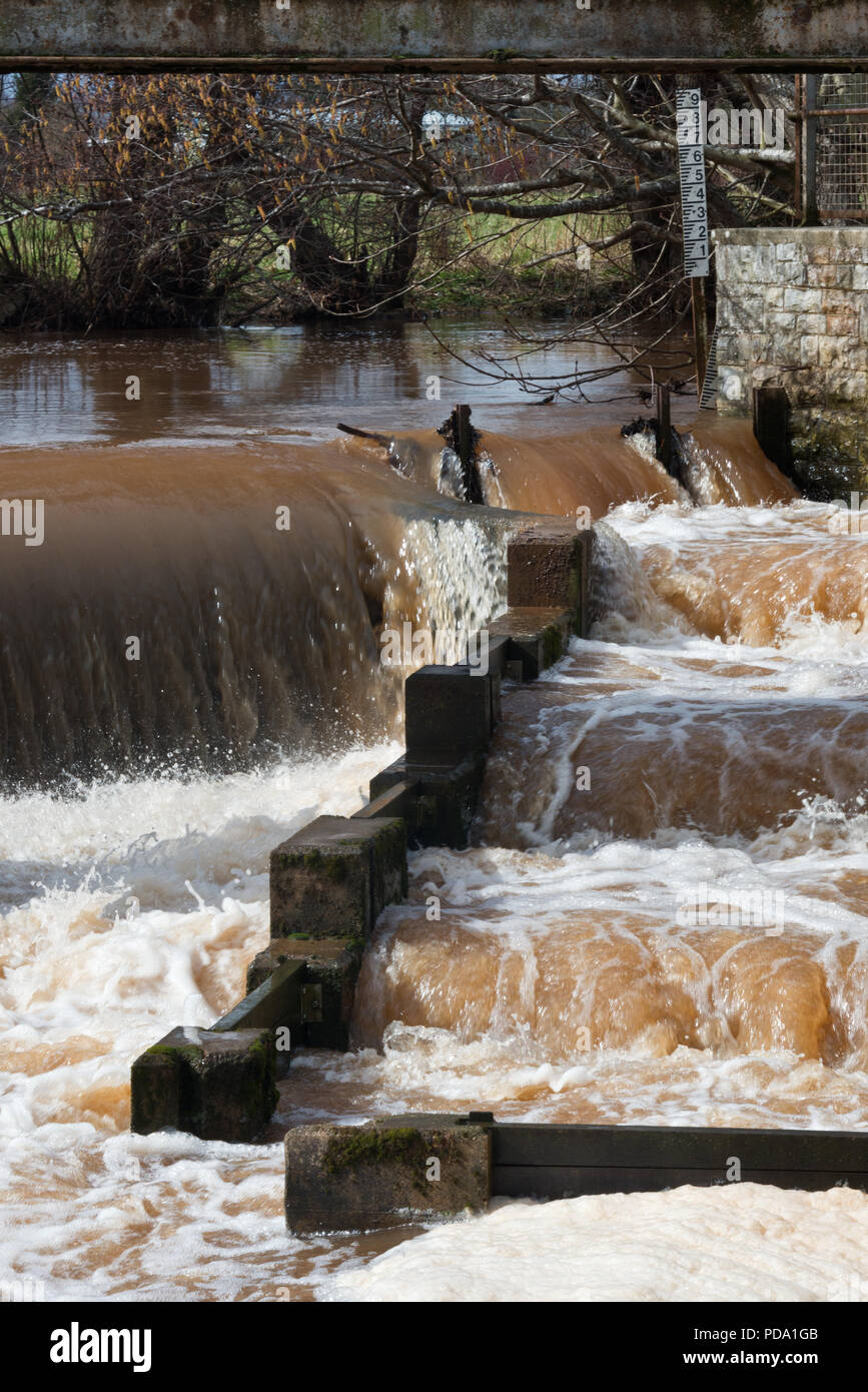 The river Tone in spate at French Weir on the River Tone in the centre ...
