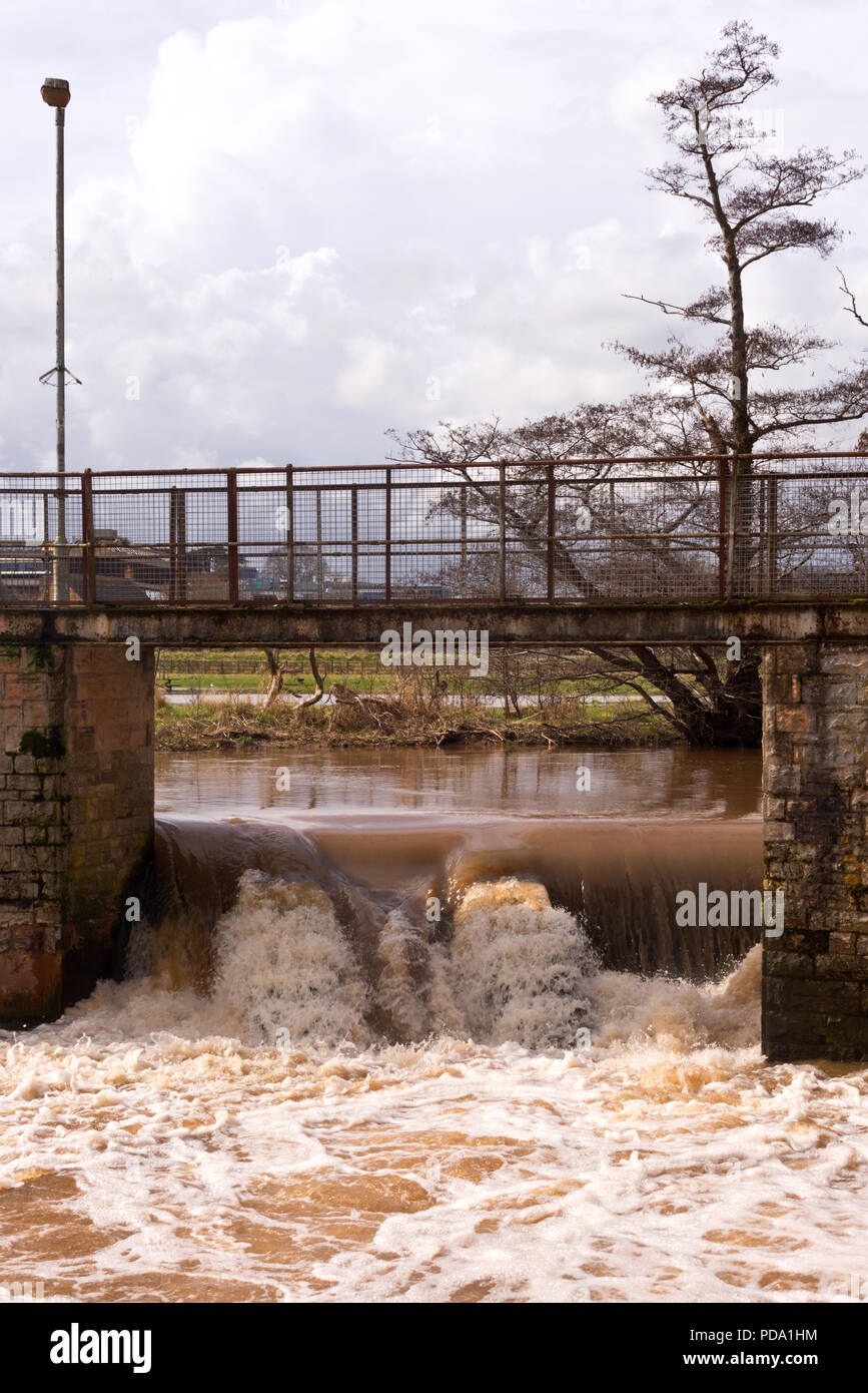 The river Tone in spate at French Weir on the River Tone in the centre ...
