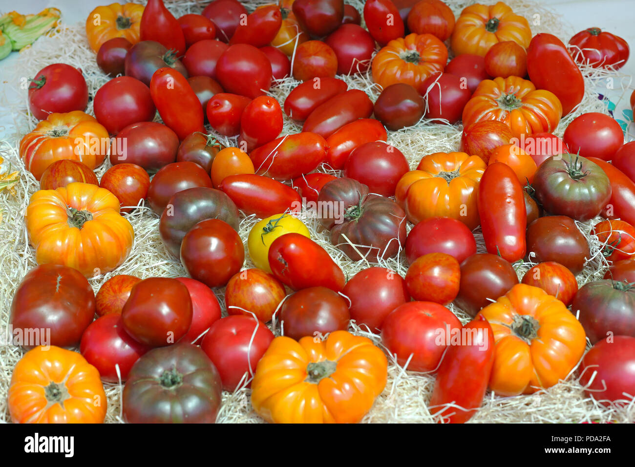 Various organic tomato mix at farmers market Stock Photo - Alamy