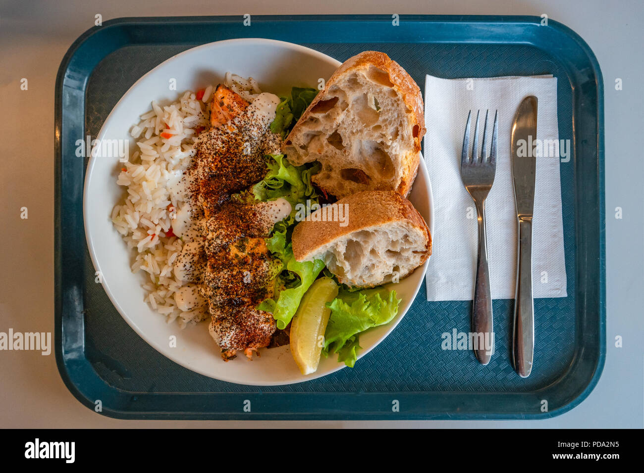Traditional Icelandic grilled red fish, rice and salad, summer time ...