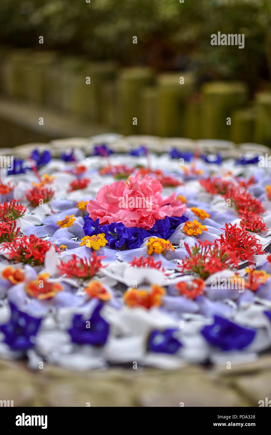 A close up view of a pretty asian style flower petal arrangement ...