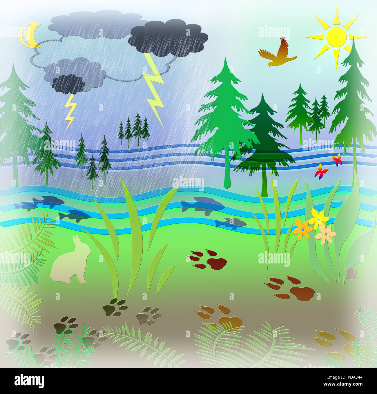 A collage of things in nature, or in the natural world without man's ...