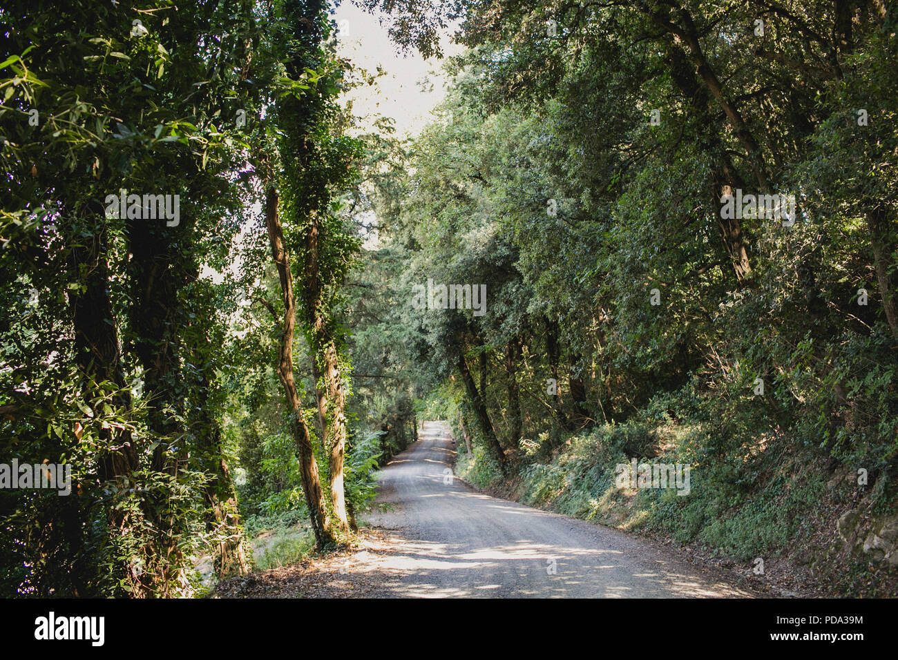 Italian road map hi-res stock photography and images - Alamy