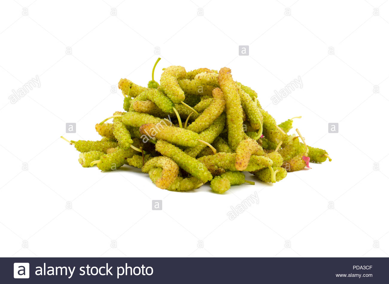 Indian Mulberry High Resolution Stock Photography and Images - Alamy