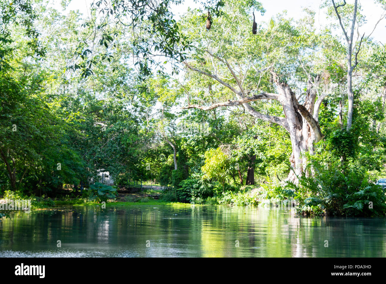 Chical High Resolution Stock Photography and Images - Alamy