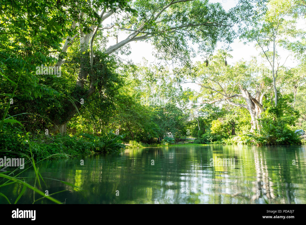Chical High Resolution Stock Photography and Images - Alamy