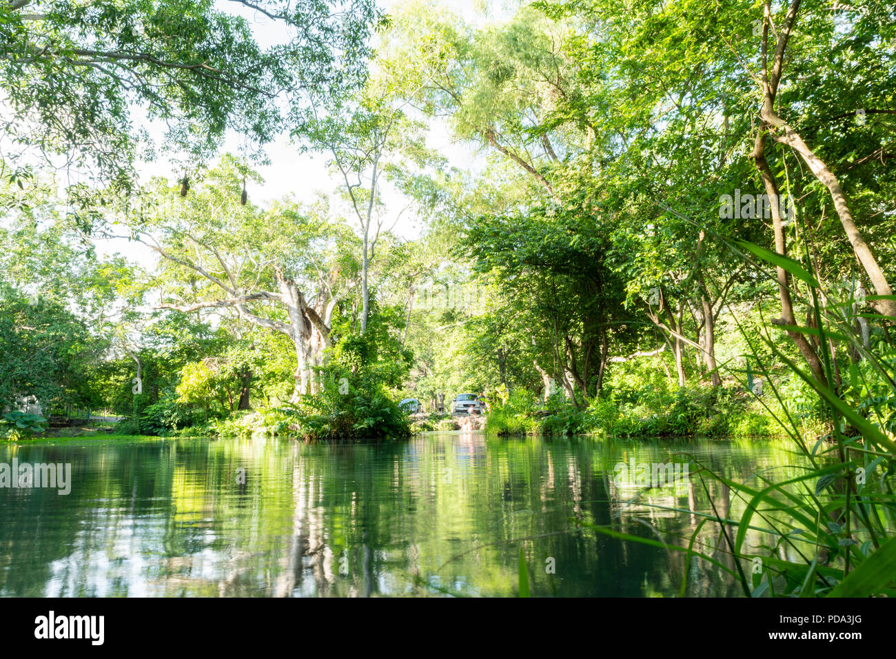Chical hi-res stock photography and images - Alamy