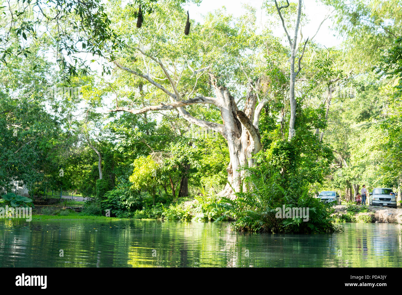 Chical hi-res stock photography and images - Alamy