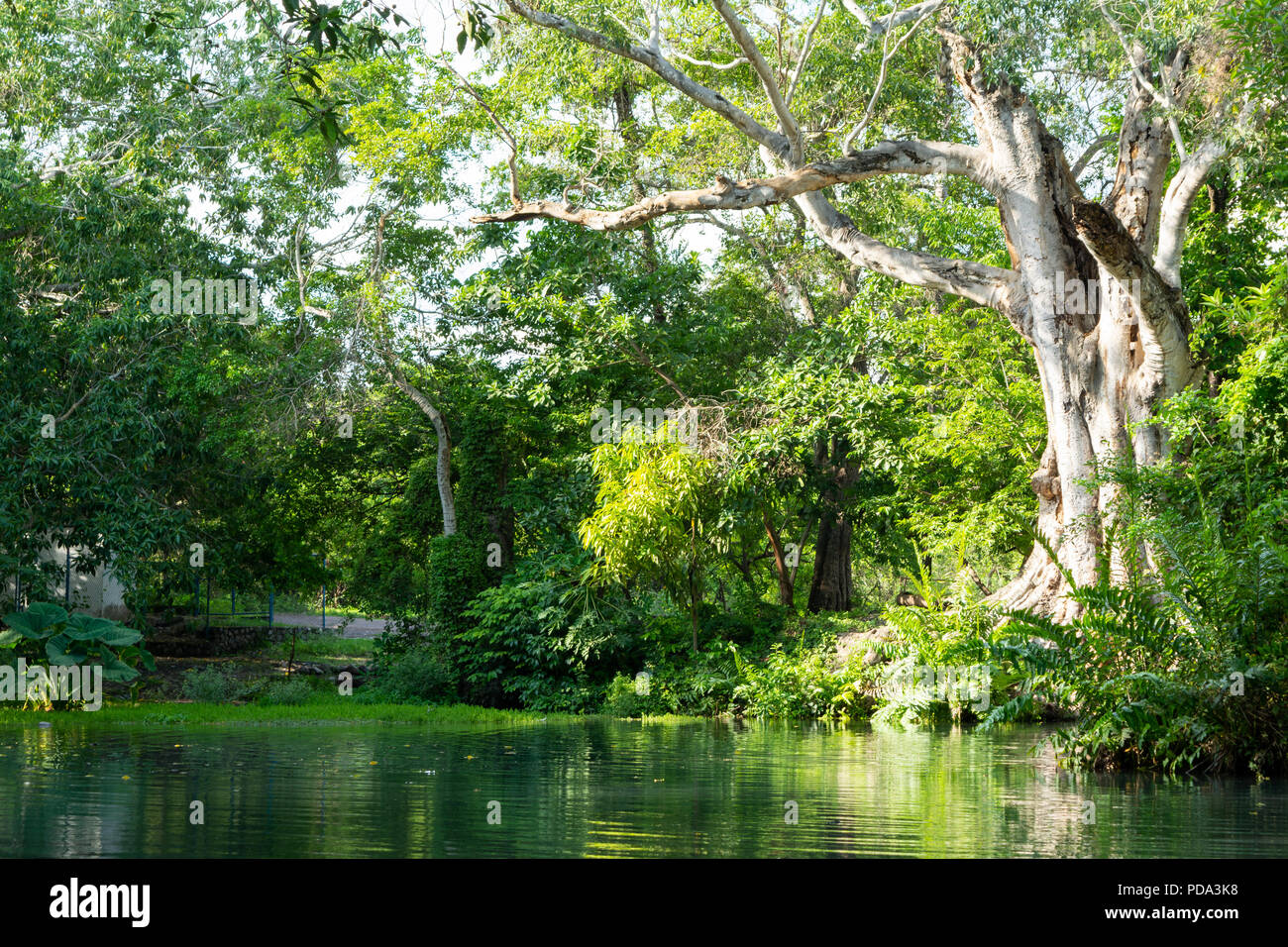 Chical hi-res stock photography and images - Alamy