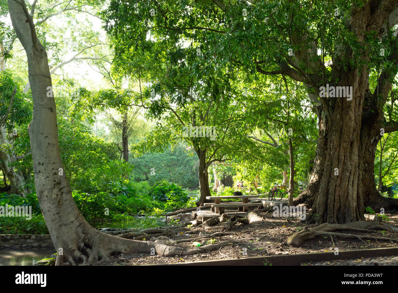 Chical High Resolution Stock Photography and Images - Alamy