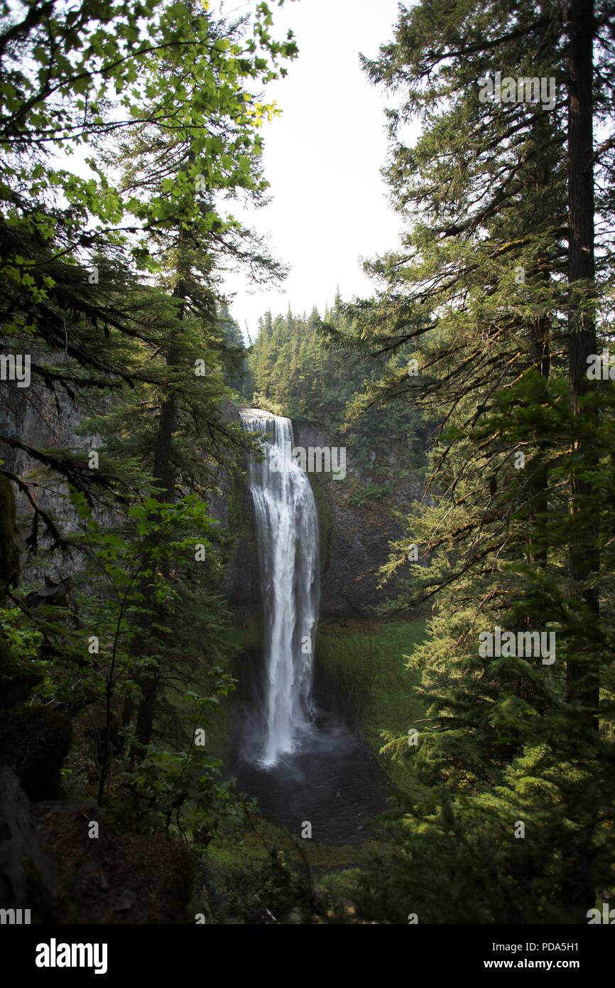 Salt Creek Falls, viewed from below, at Willamette National Forest in ...