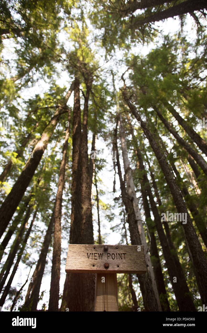 Sign nailed to tree hi-res stock photography and images - Alamy