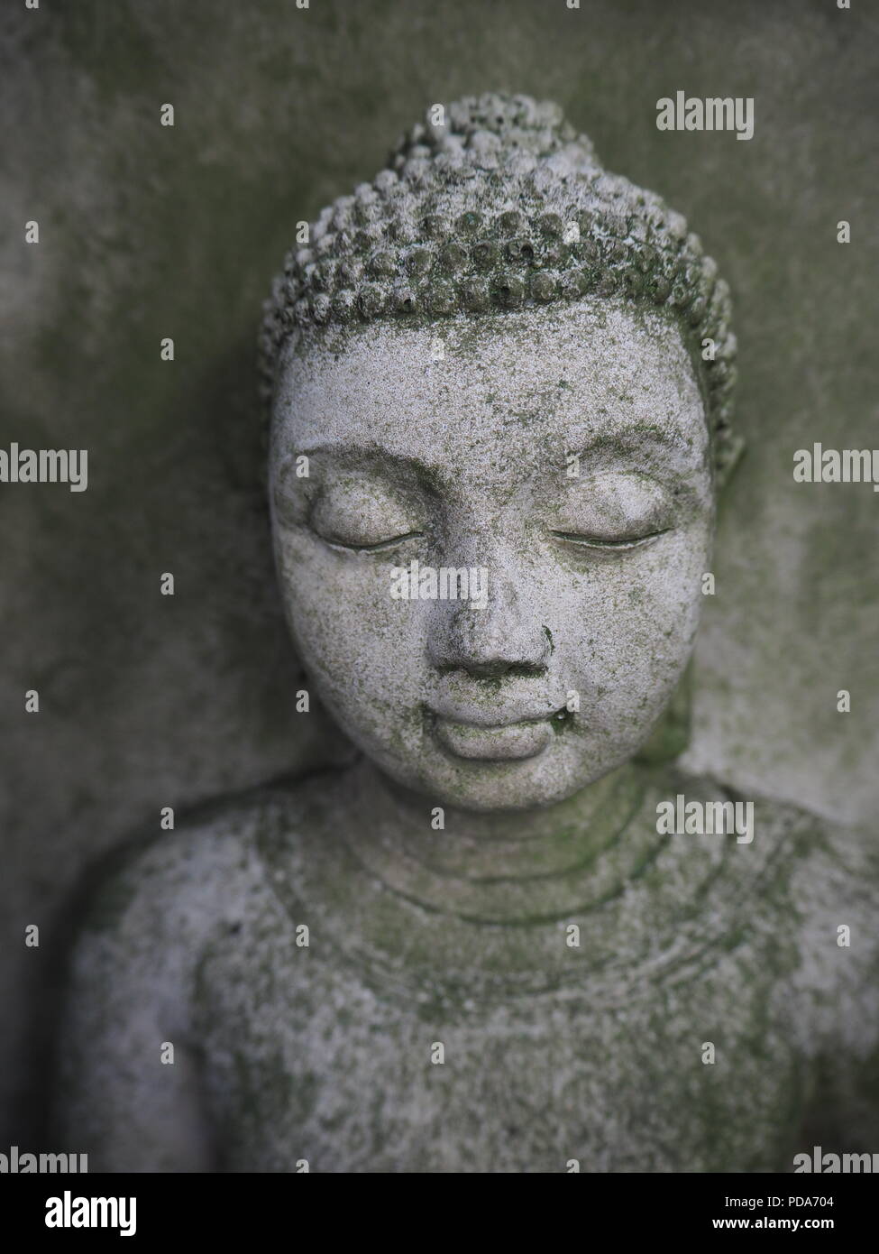 Tree peace wisdom symbol hi-res stock photography and images - Alamy