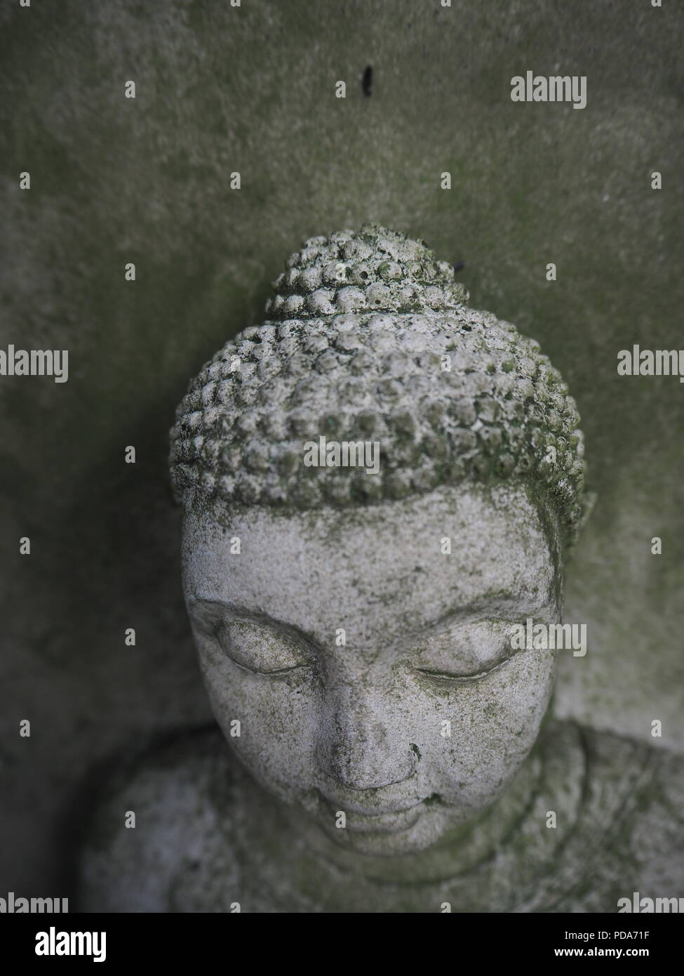 Buddha Statue in a tree Stock Photo - Alamy
