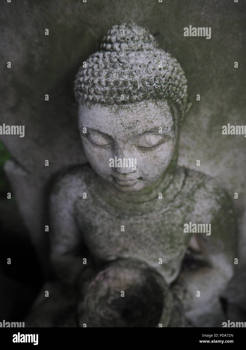 Buddha Statue in a tree Stock Photo - Alamy