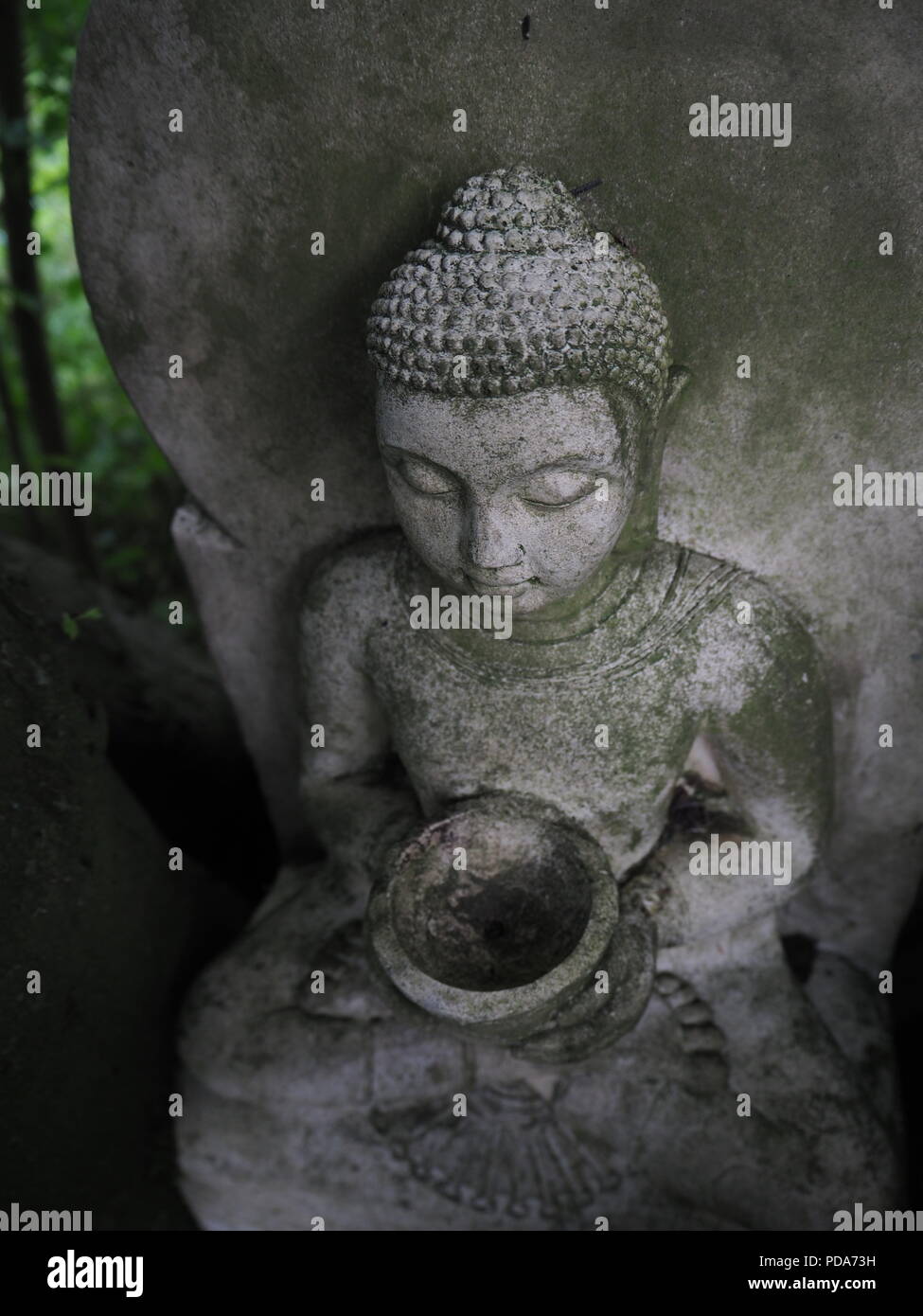 Buddha Statue in a tree Stock Photo - Alamy