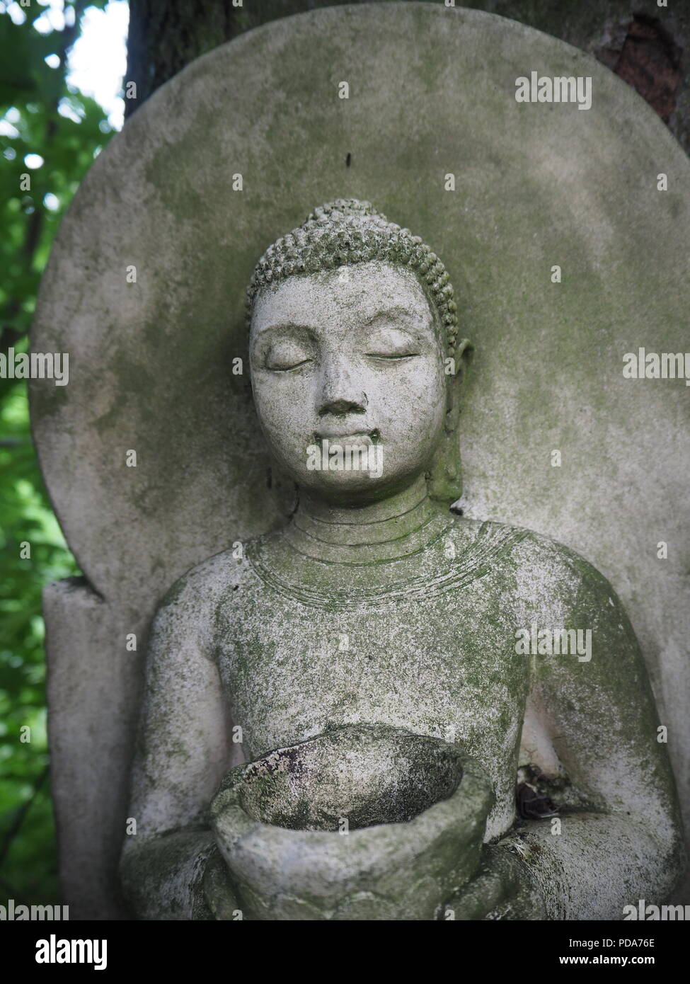 Buddha Statue in a tree Stock Photo - Alamy
