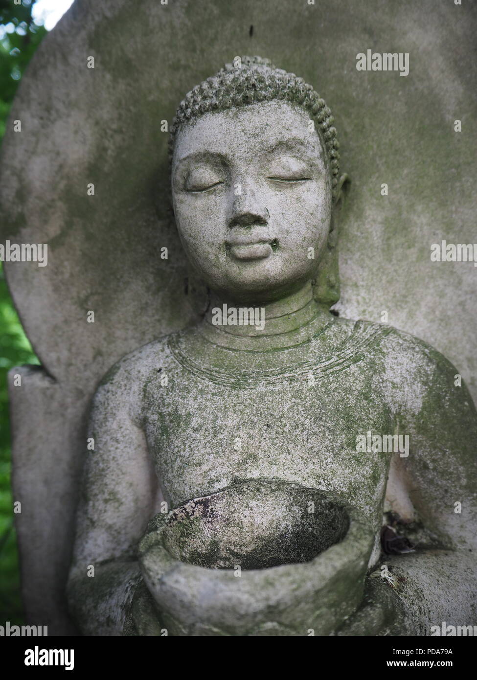 Buddha Statue in a tree Stock Photo - Alamy