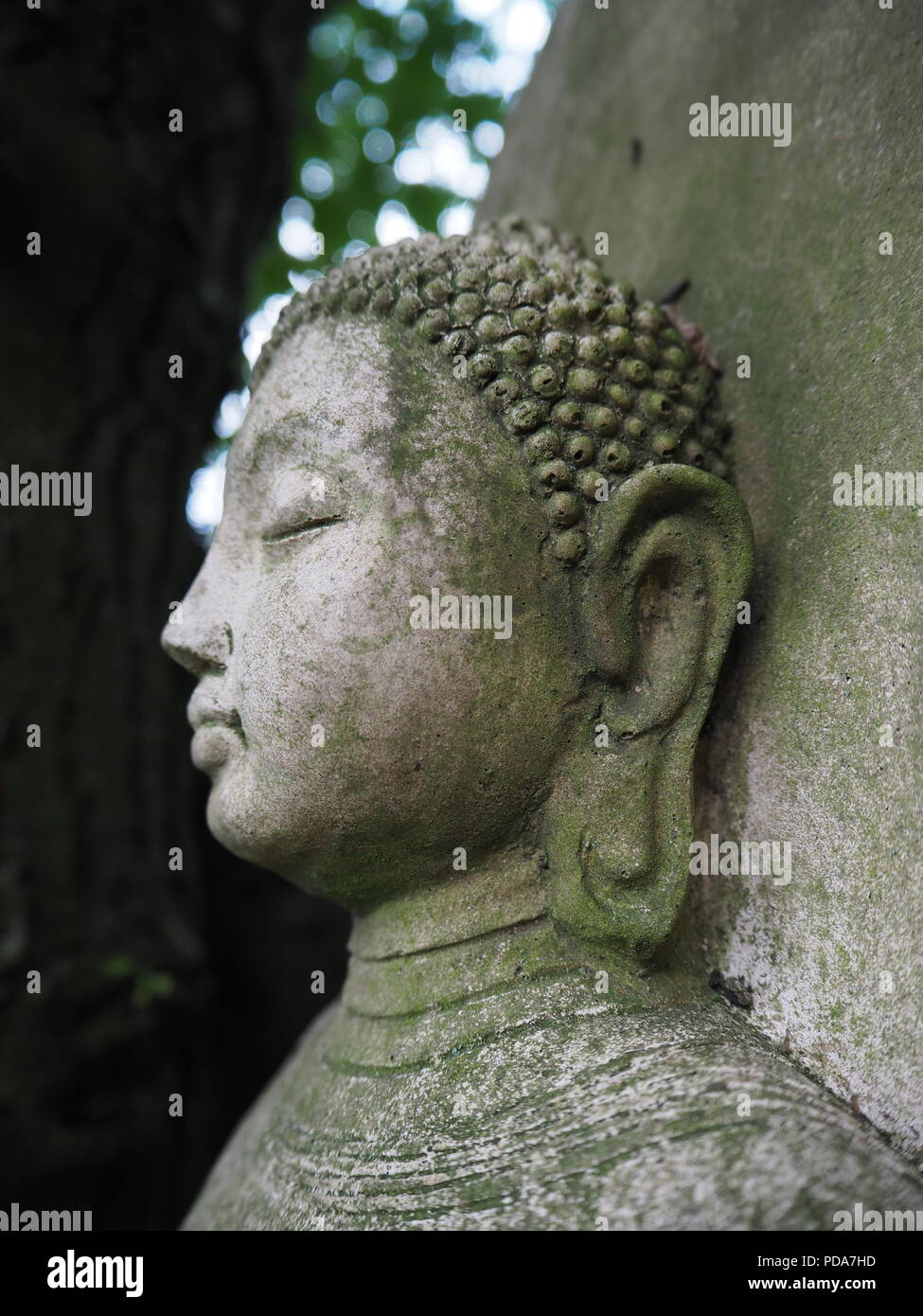Buddha profile hi-res stock photography and images - Alamy
