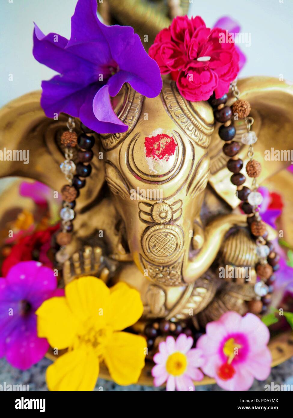 Hindu God Ganesha is covered with coloured flowers on an altar for a ...