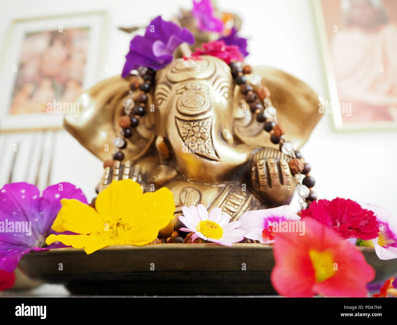 Hindu God Ganesha is covered with coloured flowers on an altar for a ...