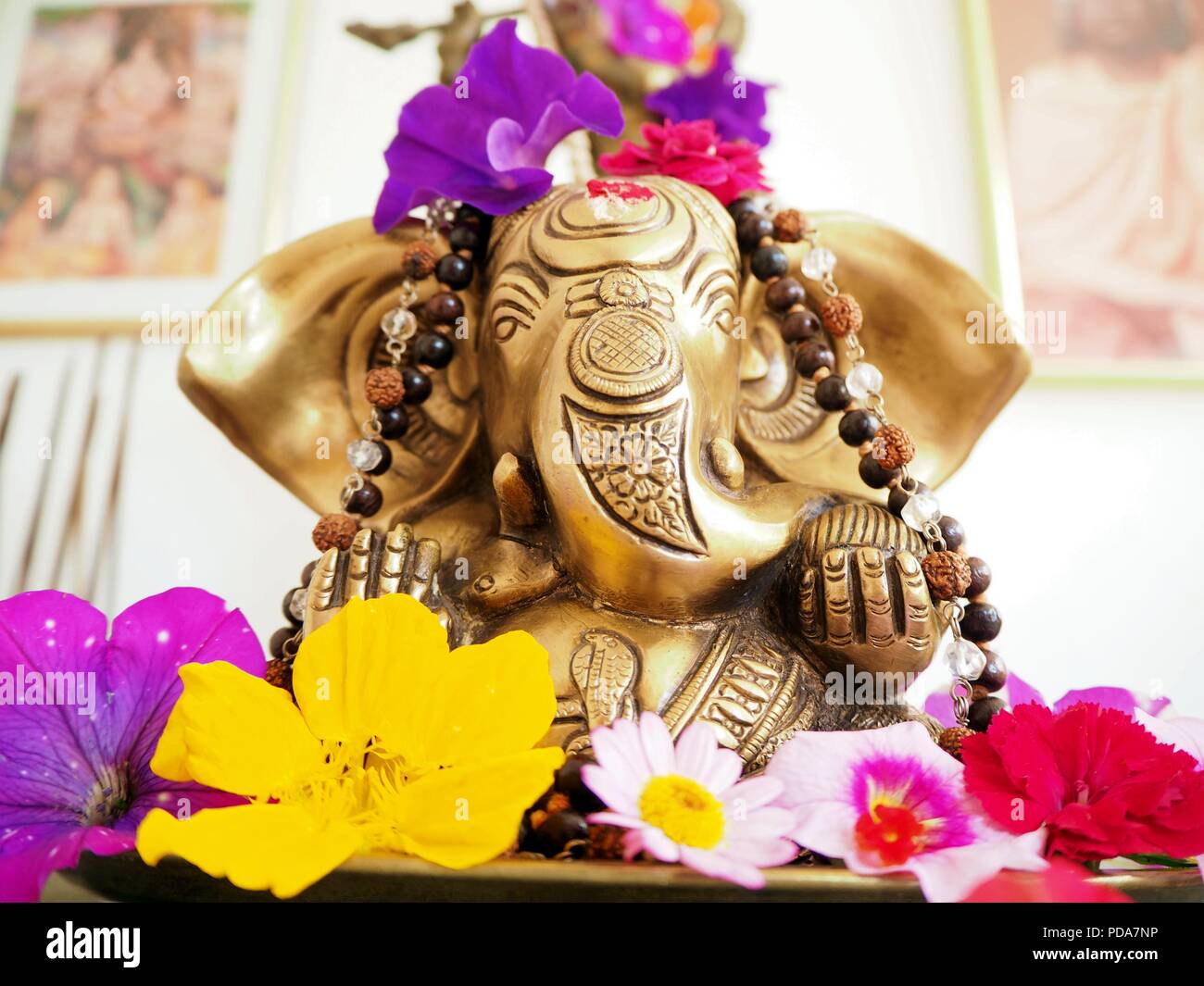 Hindu God Ganesha is covered with coloured flowers on an altar for a ...