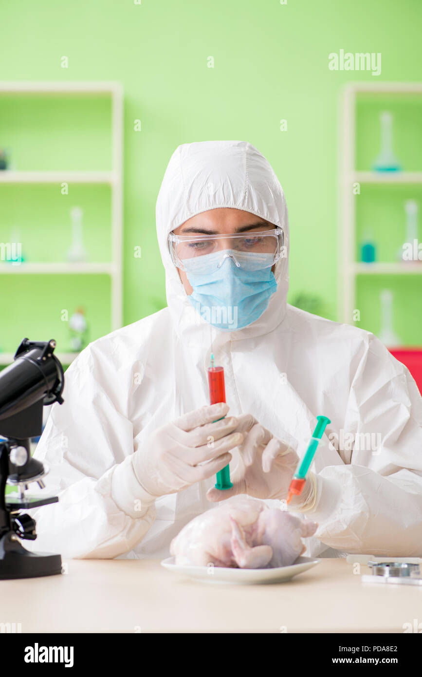 Lab assistant testing GMO chicken Stock Photo - Alamy