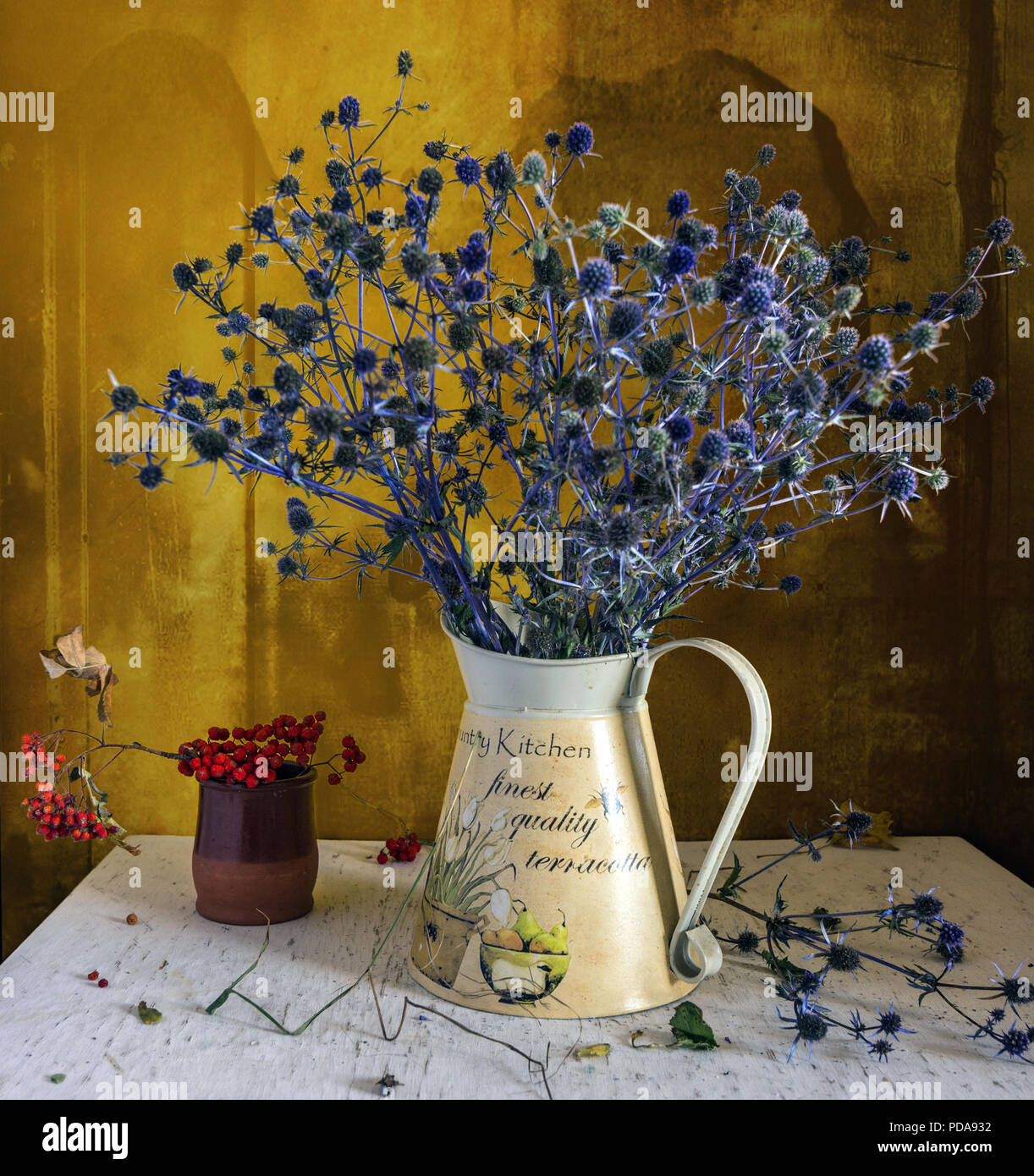 Plant still life hi-res stock photography and images - Alamy