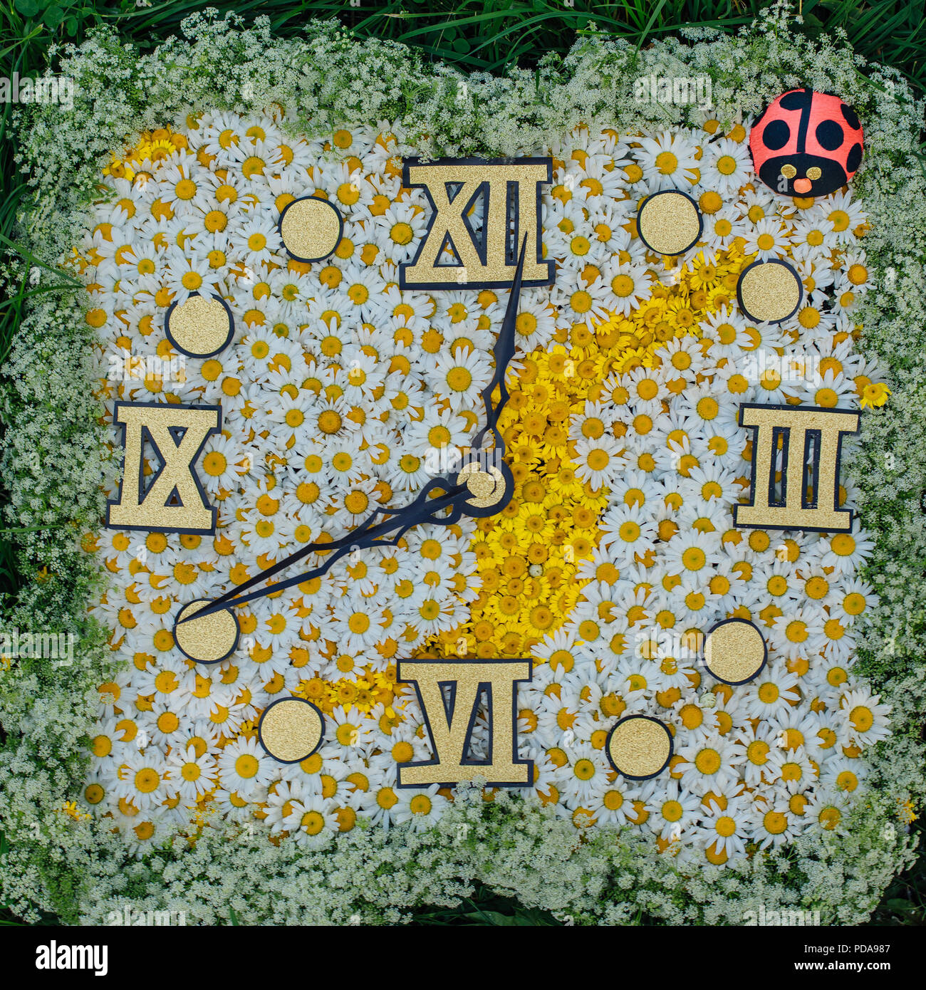 Working floral clock hi-res stock photography and images - Alamy