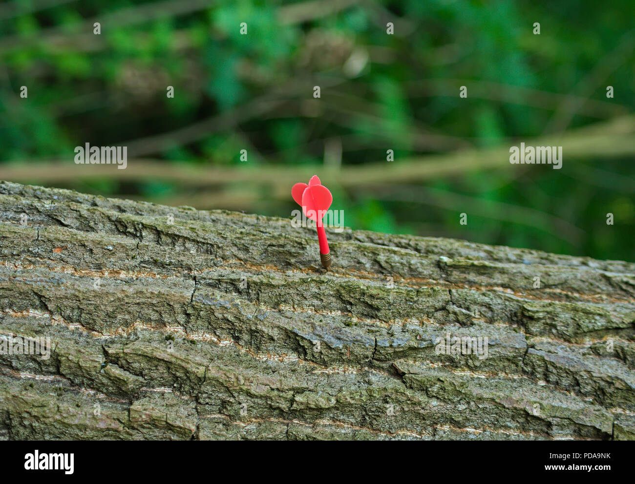 Dart stick hi-res stock photography and images - Alamy
