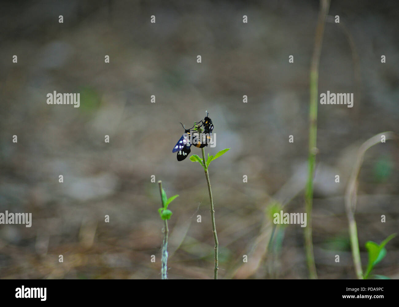 Standing colorful facing hi-res stock photography and images - Alamy