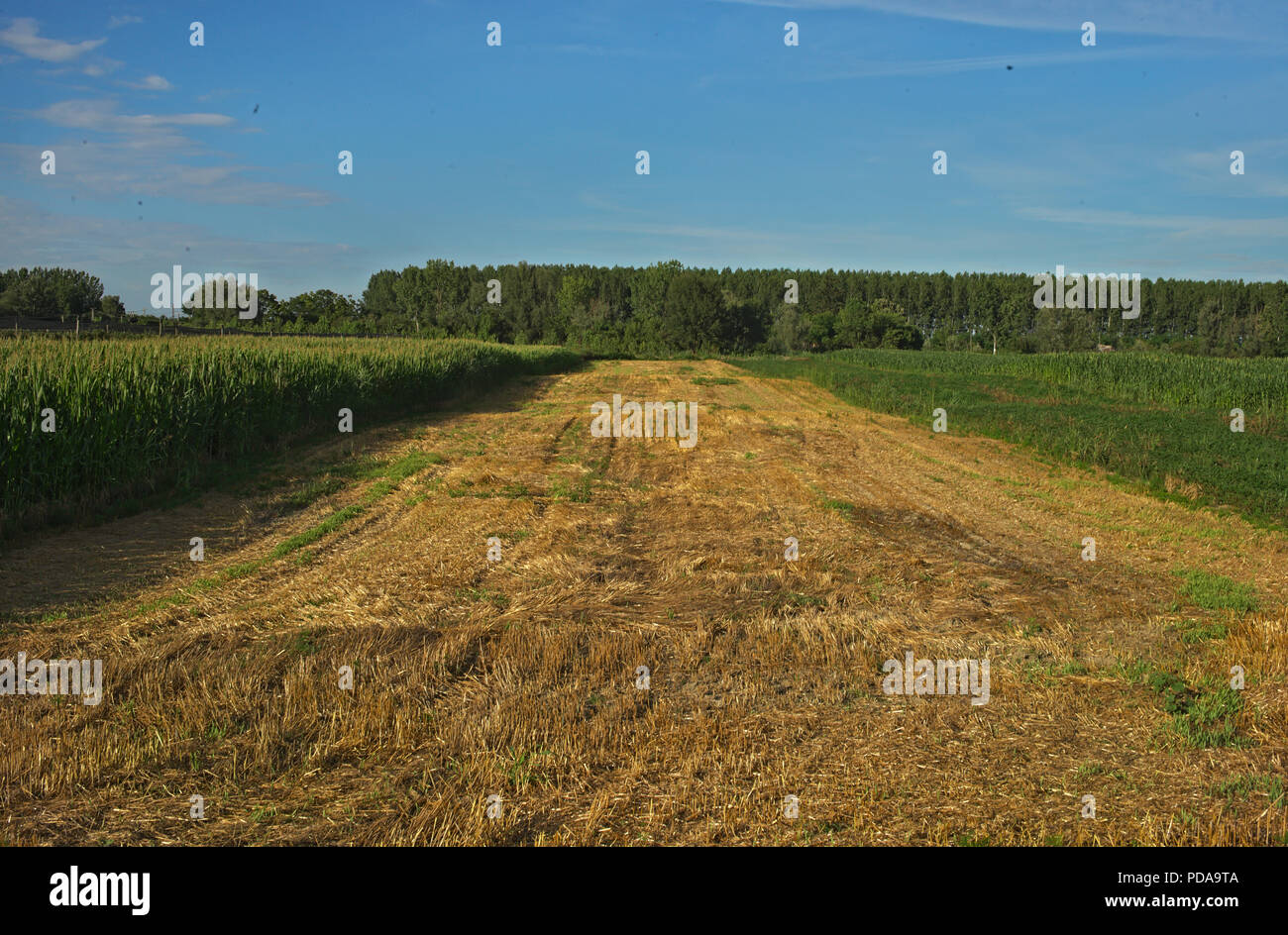 Empty farm field hi-res stock photography and images - Alamy