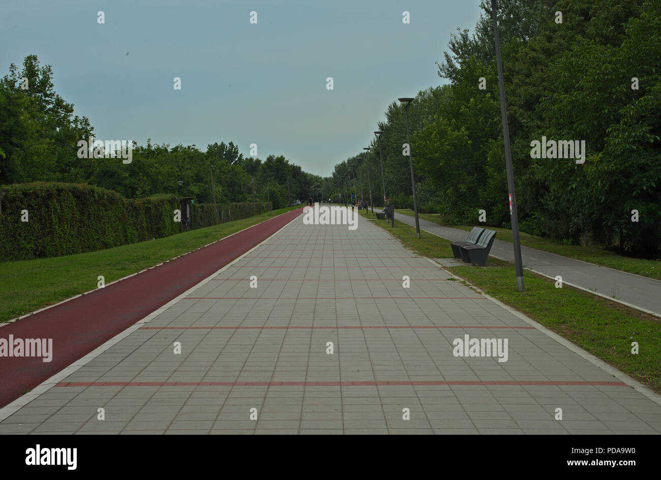 Empty boardwalk with tracks for walking, jogging and bicycles Stock ...