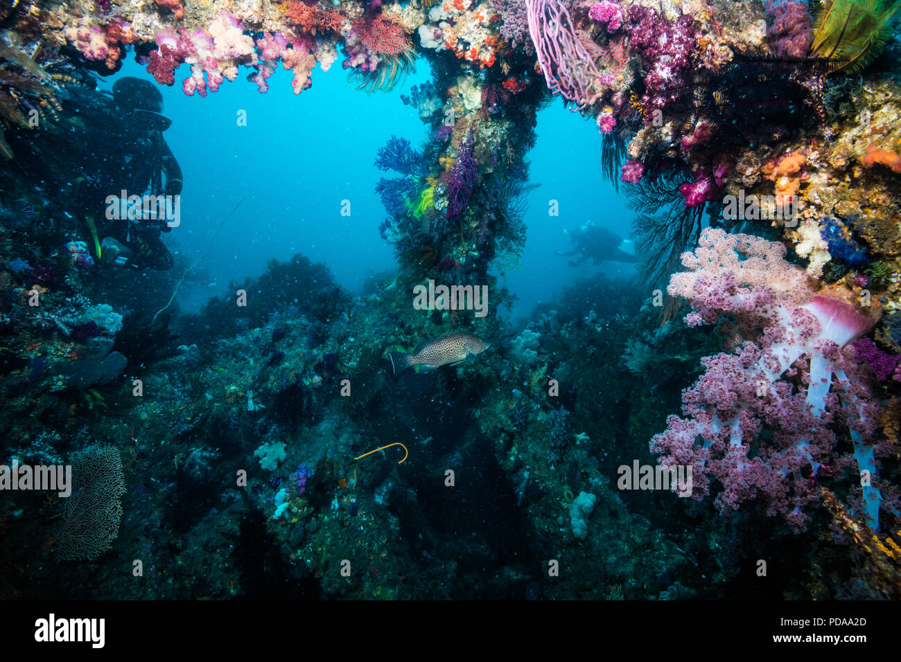 Artificial coral reef concrete hi-res stock photography and images - Alamy