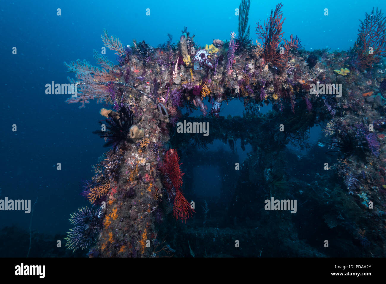 The artificial fish reef point covered with colorful soft coral. -20m ...