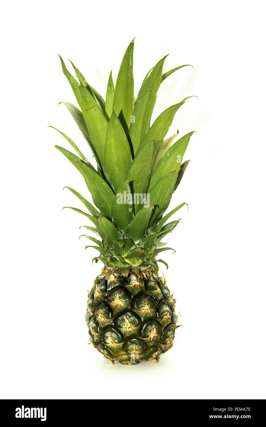 Small pineapple isolated on white background Stock Photo - Alamy