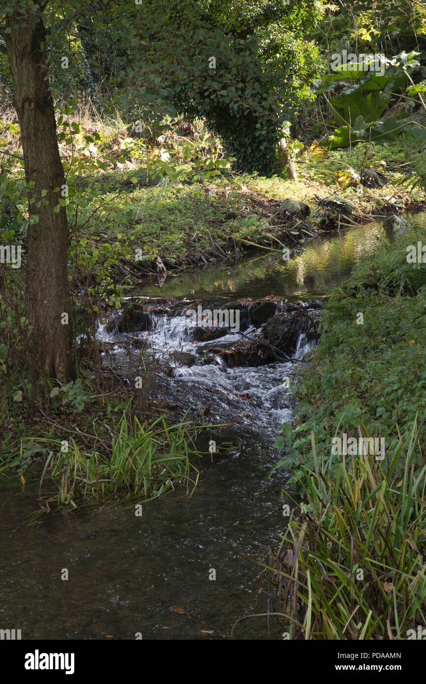 Stream waterfall river hi-res stock photography and images - Alamy