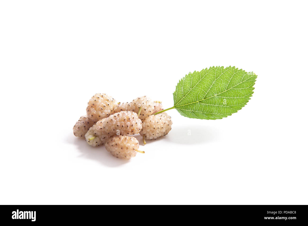 Heap of fresh sweet white mulberry berries and green leaf of mulberry ...