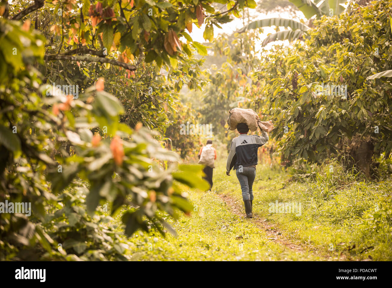 Two farmers walk hi-res stock photography and images - Alamy