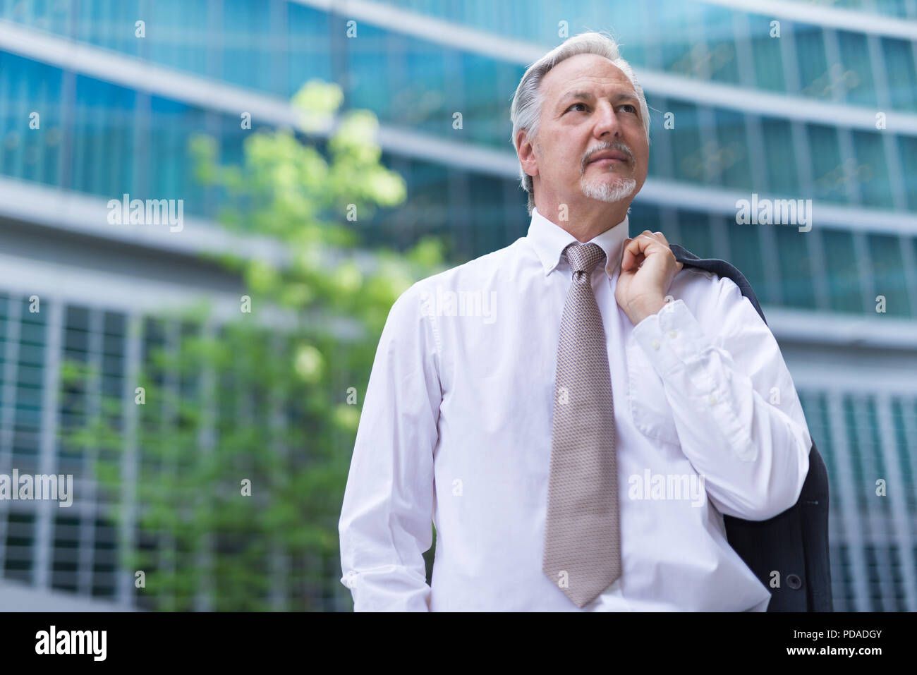 Smiling handsome senior businessman portrait Stock Photo - Alamy Smiling handsome senior businessman portrait Stock Photo - Alamy