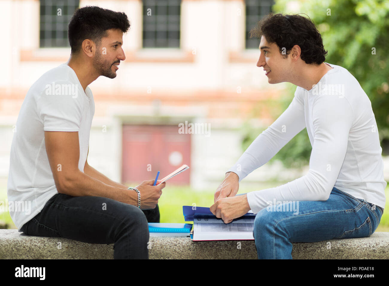 Two students studying together sitting on a bench outdoor Stock Photo ...
