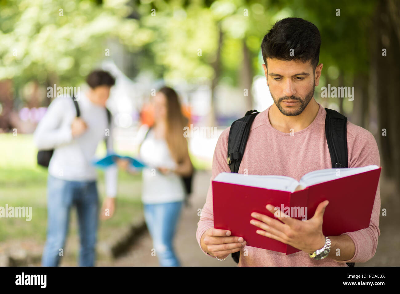 Male student reading a book in a college courtyard with his friends in ...