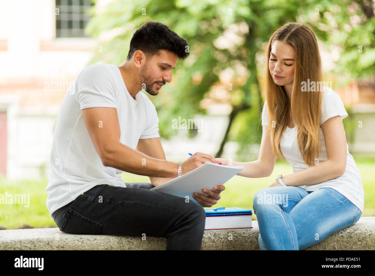 Two students studying together sitting on a bench outdoor Stock Photo ...