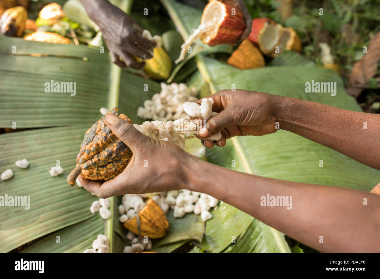 Focus reveal hi-res stock photography and images - Alamy