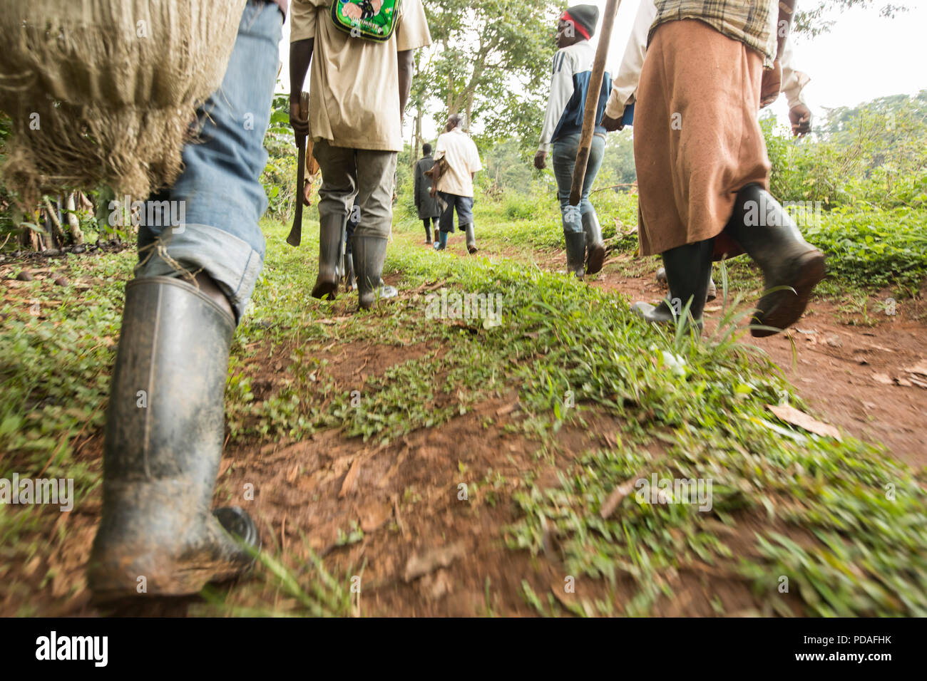 Real cocoa bean hi-res stock photography and images - Alamy